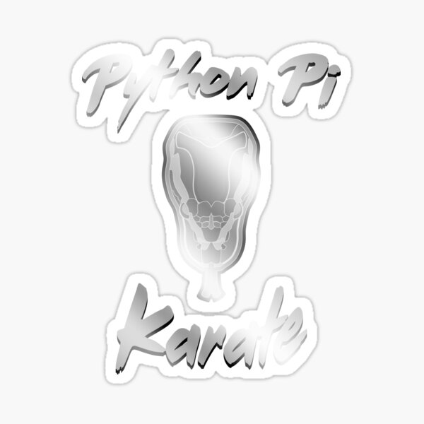 "Python Pi Karate Metal Effect" Sticker for Sale by PCB1981 | Redbubble