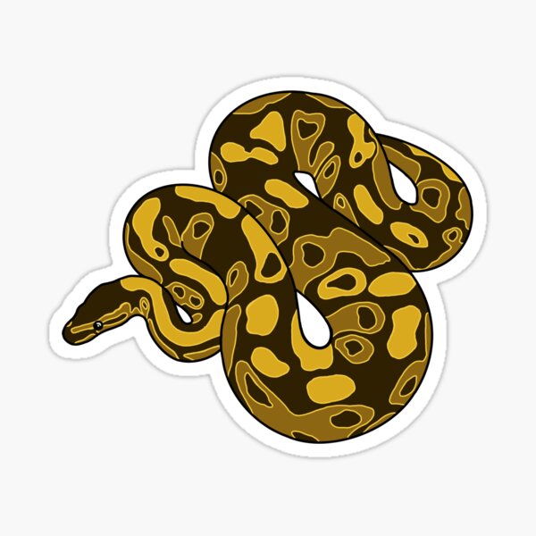 "Yellowbelly Ball Python Snake Morph" Sticker for Sale by ...