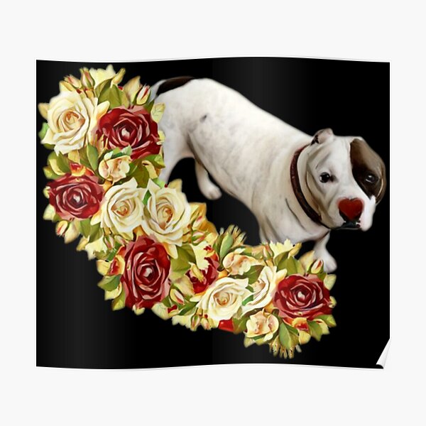 "NJAFA's Sweet Pea New Jersey's Face of Dog Fighting Awareness & ASPCA ...