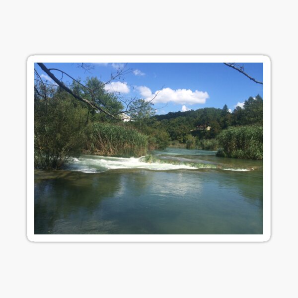 "Connect yourself with nature" Sticker for Sale by phee-phee | Redbubble