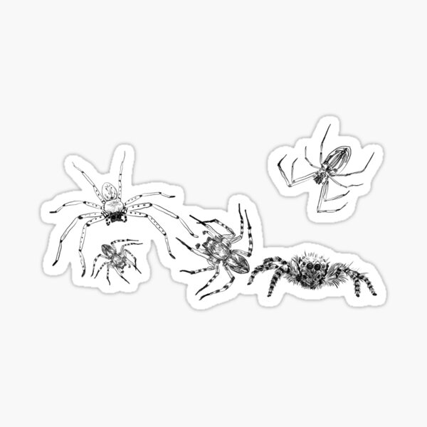 "Multiple spiders-pencil sketch " Sticker for Sale by Other7Xxx | Redbubble