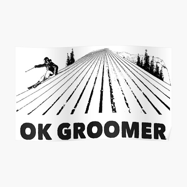 "Ok Boomer Ok Groomer Skiing" Poster for Sale by esskay | Redbubble