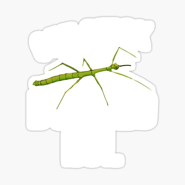 "Get Stick Bugged LOL - Meme Funny Saying Bug" Sticker for Sale by ...