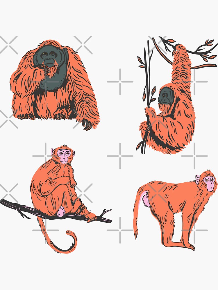 "Orange Monkey Orangutan and Macaque Pack" Sticker for Sale by itorok ...