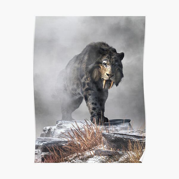 "Smilodon Fatalis in Winter" Poster for Sale by DanielEskridge | Redbubble