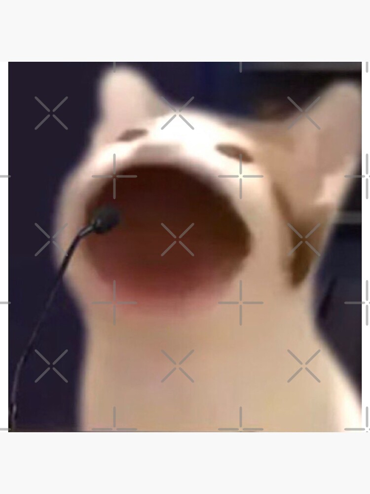 "cat with microphone meme" Poster for Sale by samar-n | Redbubble
