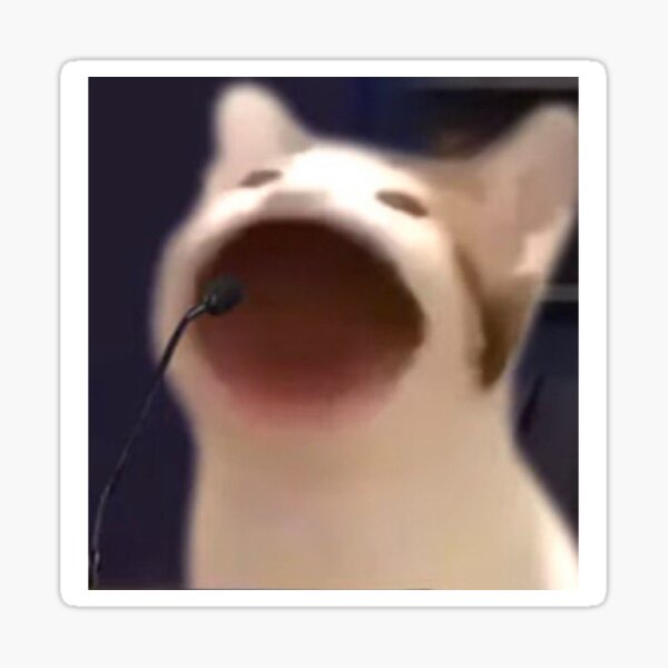 "cat with microphone meme" Sticker by samar-n | Redbubble