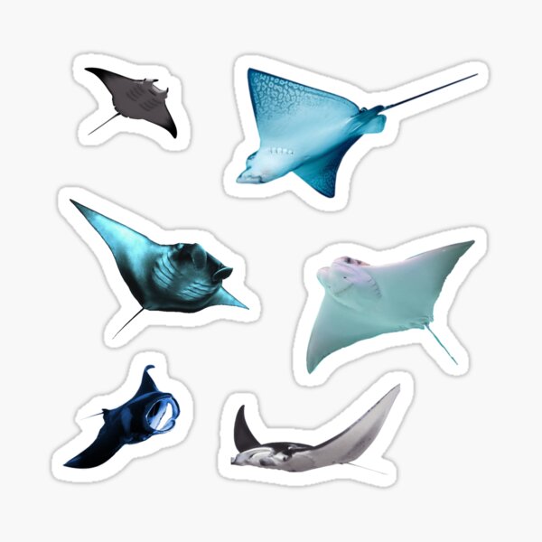 "Manta ray sticker pack" Sticker for Sale by Agrita Bluzmane-Lipska ...