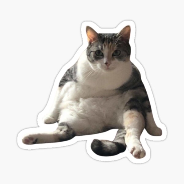 "sitting cat" Sticker by evaaug | Redbubble
