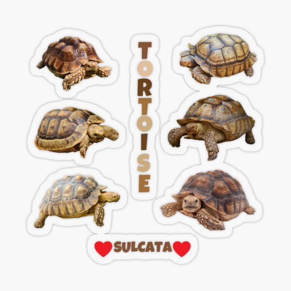 CBCreations73 Shop | Redbubble