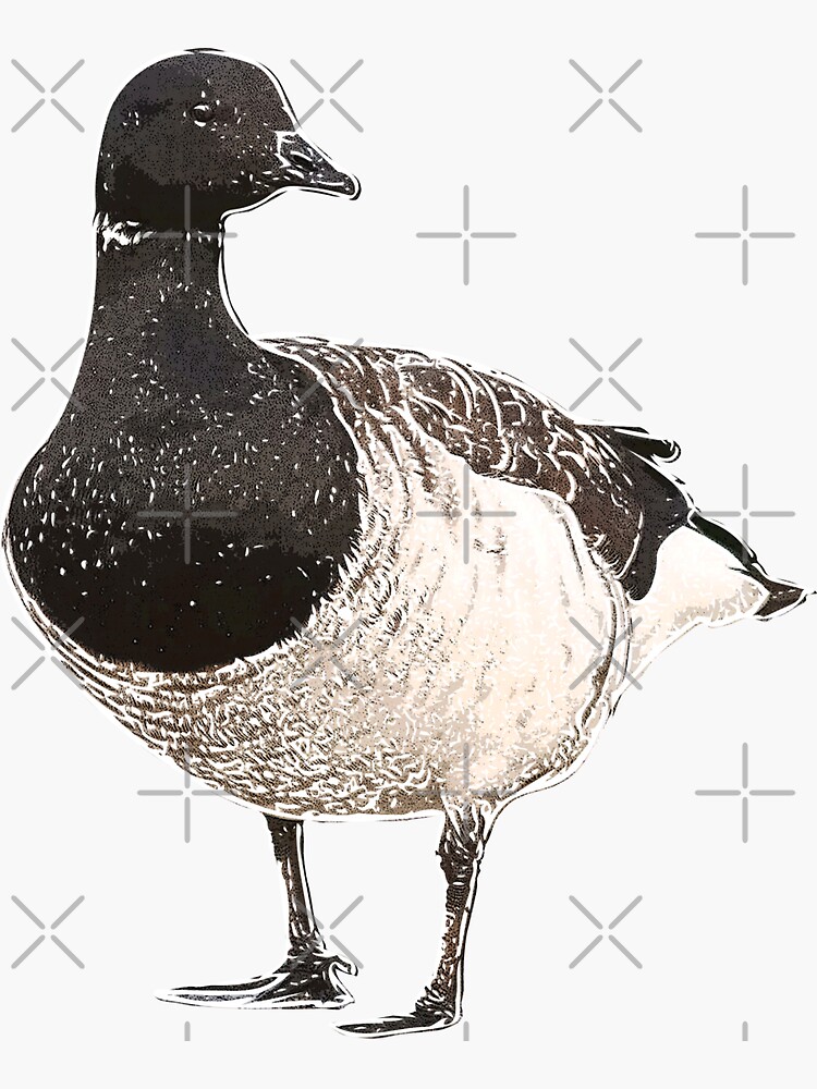 " Brant White Alternate Design" Sticker by designsasstultd | Redbubble