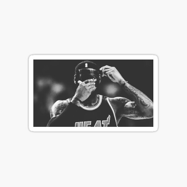 "LeBron James Face Mask " Sticker by jakem221 | Redbubble