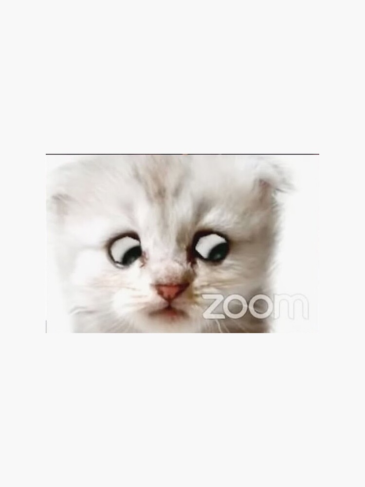 "Zoom cat filter meme" Sticker for Sale by meownb | Redbubble