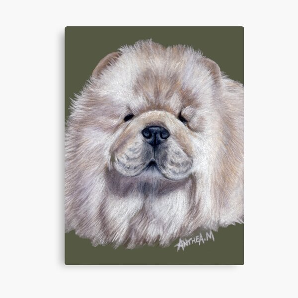 Dog Chow Chow Pencil Drawing Print A4 Size Artwork Signed