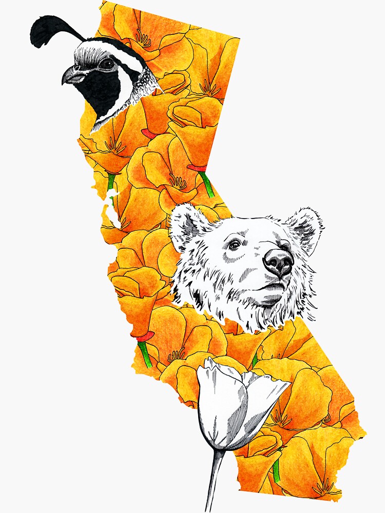 California Symbols Sticker For Sale By UrsulaRodgers Redbubble california-symbols-sticker-for-sale-by-ursularodgers-redbubble
