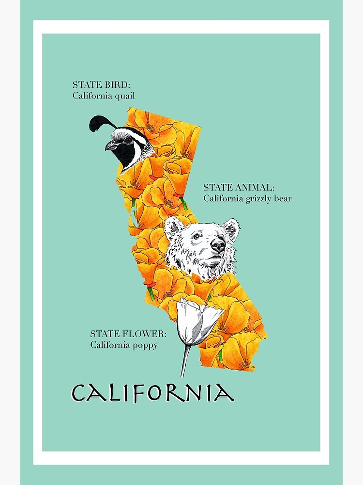 "California Symbols" Poster for Sale by UrsulaRodgers | Redbubble
