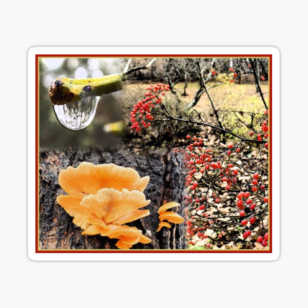 "Collage from UT Arboretum, Oak Ridge" Sticker by Imagems | Redbubble