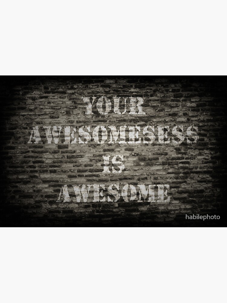 "Your awesomeness is awesome" Sticker for Sale by habilephoto | Redbubble