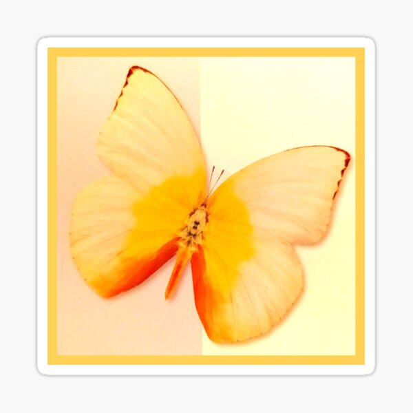 "Yellow Butterfly" Sticker by angel1 | Redbubble