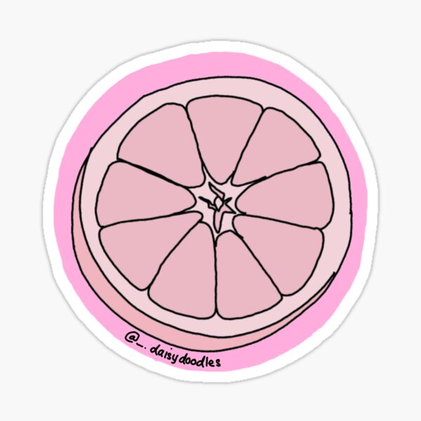 "PINK GRAPEFRUIT" Sticker for Sale by Daisy Aukett | Redbubble