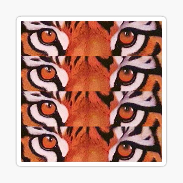 "Tigers Eyes of the tiger big cats wild animals" Sticker by Julieford ...