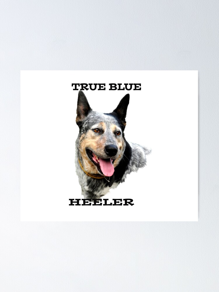 True Blue Aussie Quotes Profile For True Blue Gates
