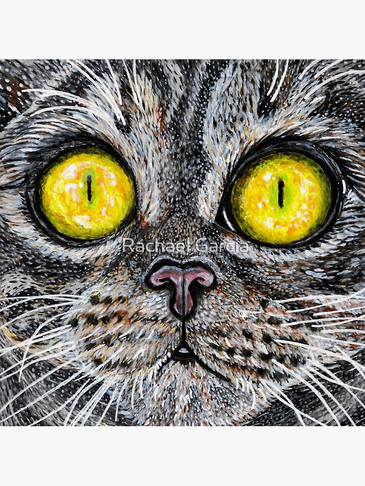 "Tabby Cat " Sticker by Rachael-Garcia | Redbubble