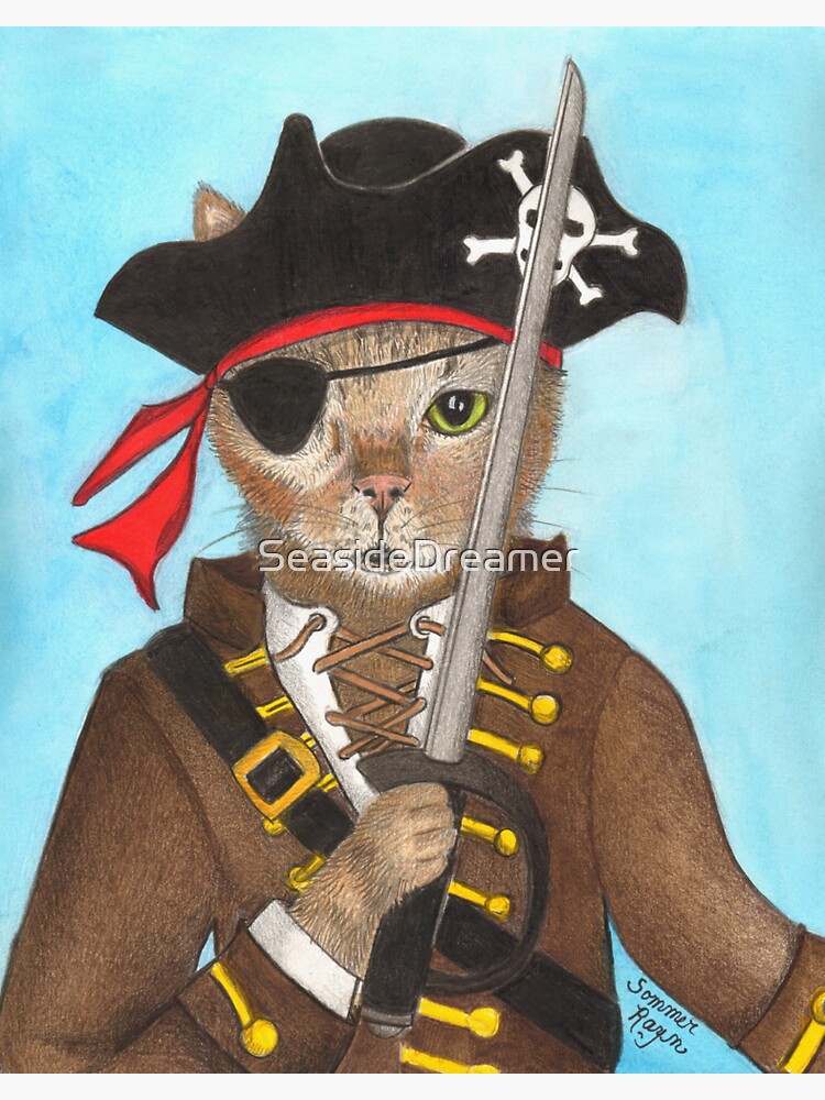 "T.T. the Pirate cat, a swashbuckling kitty ready to win your heart ...