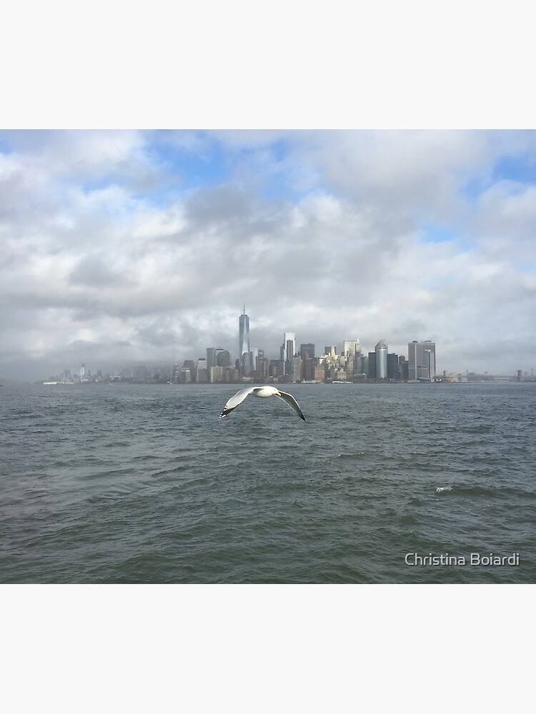 "Seagull Flying Over the Hudson River - One World Trade Center - New ...