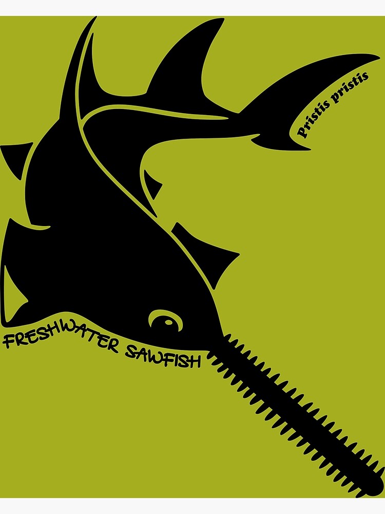 "Sawfish Australian Ocean Animal Silhouette with Name" Poster for Sale ...