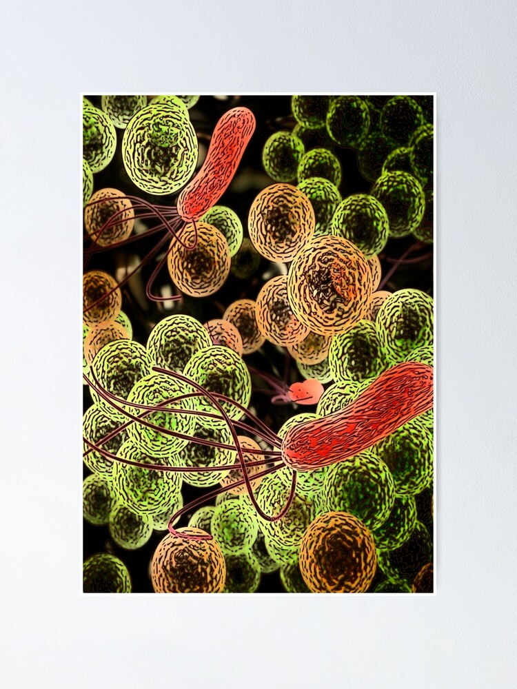 "MICROBIOLOGY 3D GENERATED IMAGE STAPH CARTOONIZED MEDICAL LABORATORY ...
