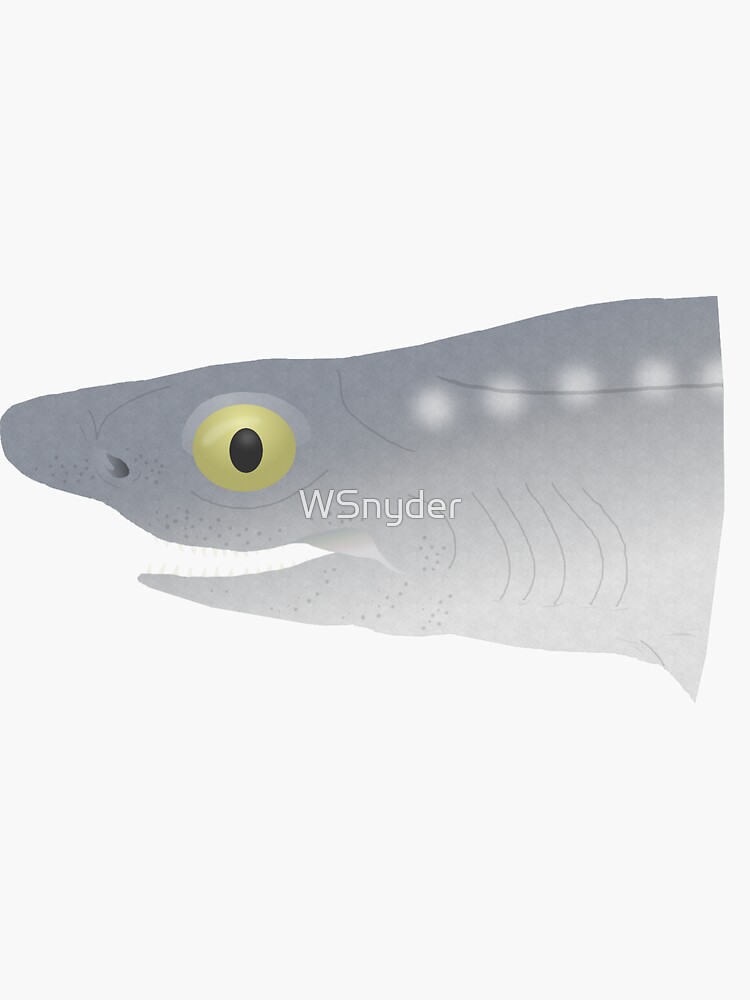 "The prehistoric shark Ozarcus" Sticker for Sale by WSnyder | Redbubble