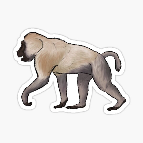 "Theropithecus oswaldi, the gigantic gelada" Sticker for Sale by ...