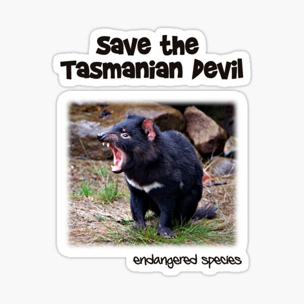 "save the Tasmanian Devil" Sticker for Sale by Martin Pot | Redbubble