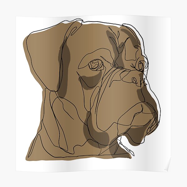 "Boxer Line Drawing" Poster by aimeetregunno | Redbubble
