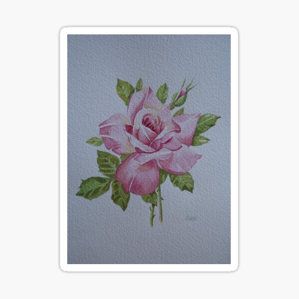 "Rose Allure" Sticker by Caz-Art | Redbubble