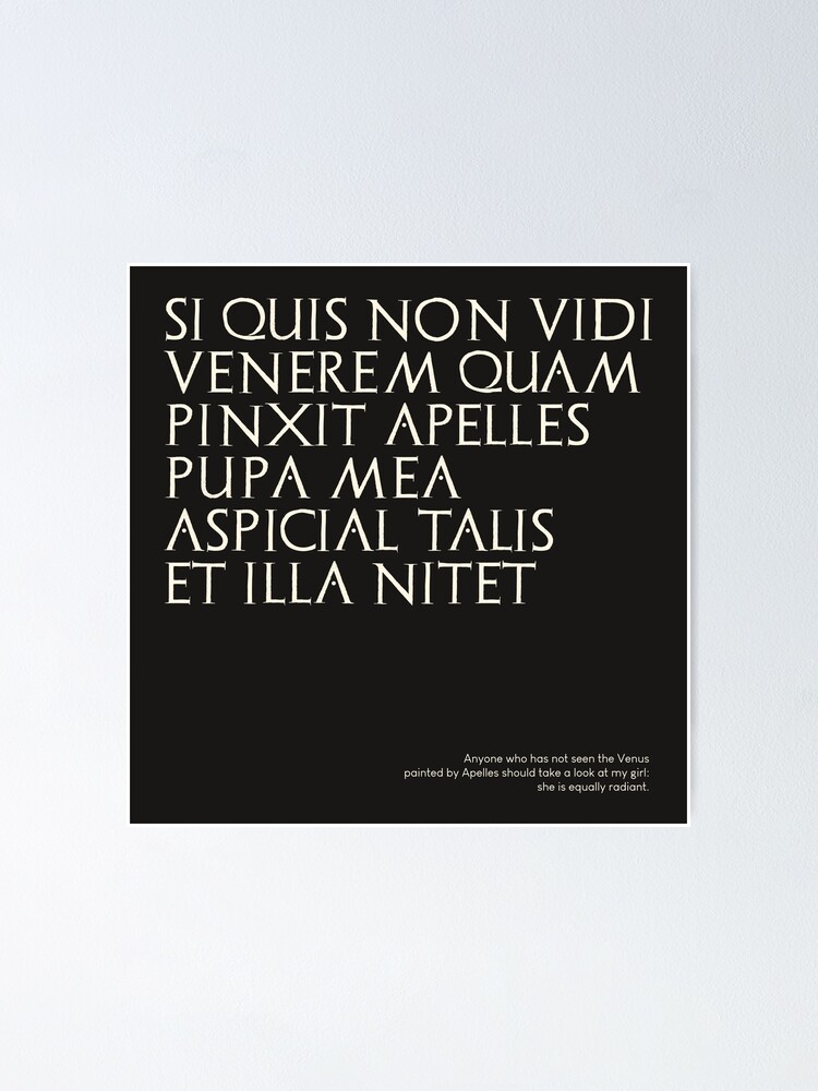 "Graffiti of Pompeii - SI QUIS NON VIDI VENEREM..." Poster for Sale by ...