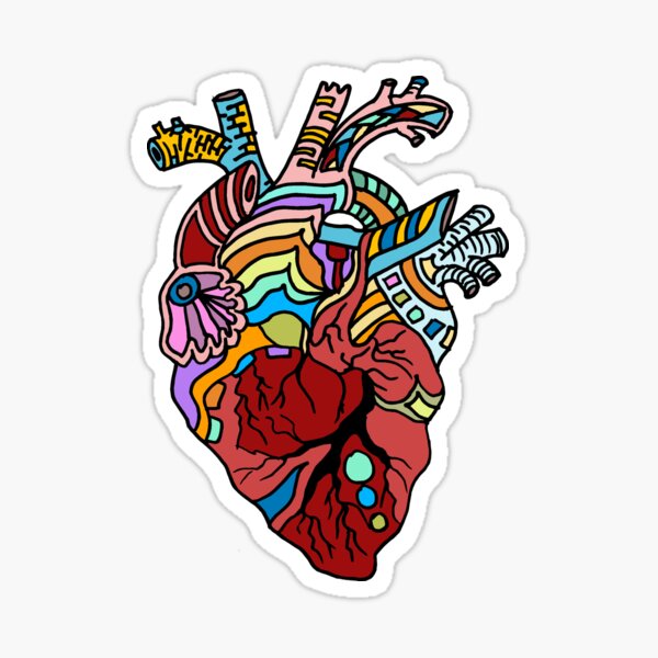 Pegatina «Amo el corazón anatómico de cardiología» de El-Artistico ...