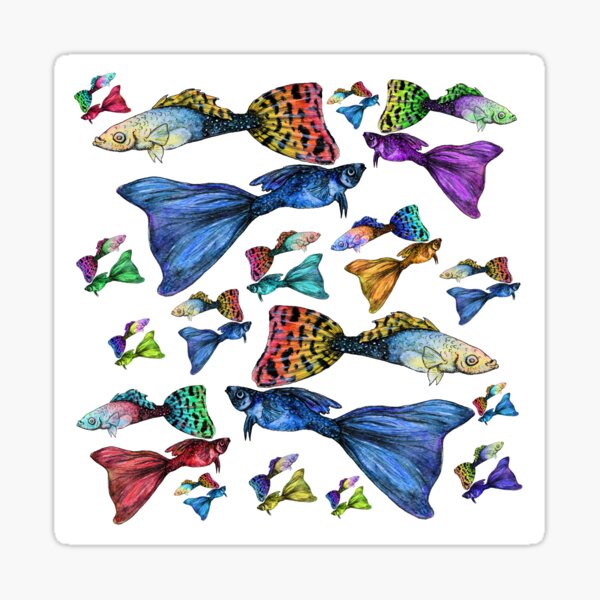 "Lots of guppies" Sticker for Sale by StudioCorvid | Redbubble