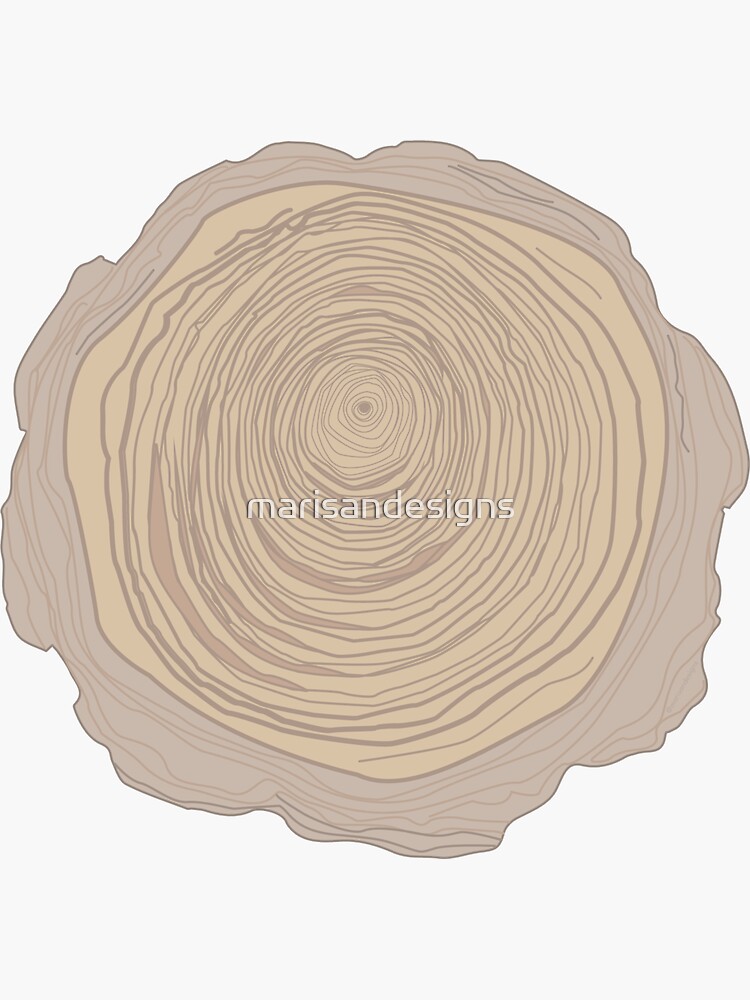 "Birch Tree Ring" Sticker for Sale by marisandesigns | Redbubble