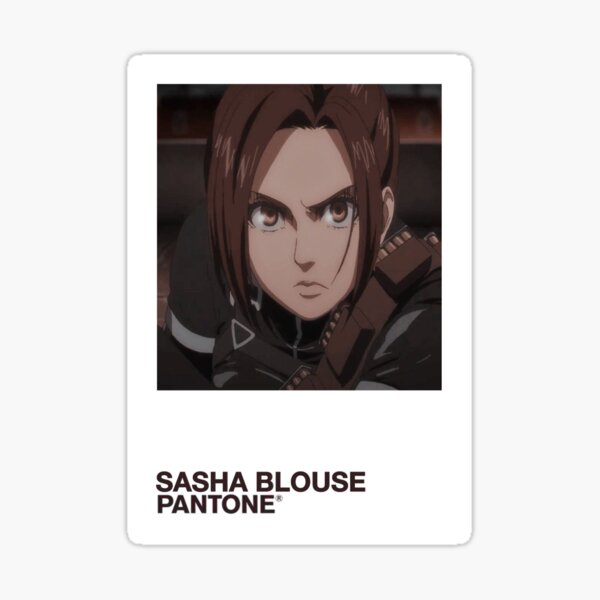 "Sasha Braus Color Swatch" Sticker by dayna5970 | Redbubble