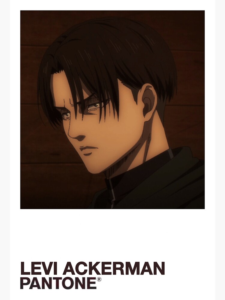 "Levi Ackerman Color Swatch" Sticker for Sale by dayna5970 | Redbubble