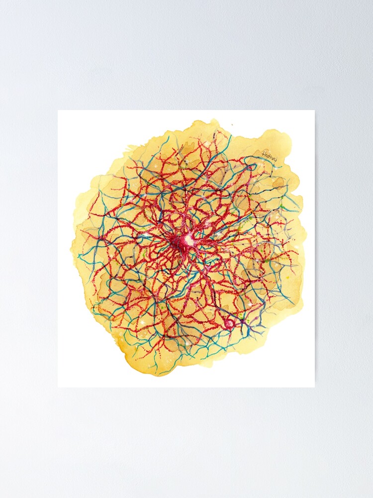 "Tangled neuron watercolor" Poster for Sale by Heatherbondi | Redbubble