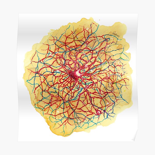 "Tangled neuron watercolor" Poster for Sale by Heatherbondi | Redbubble