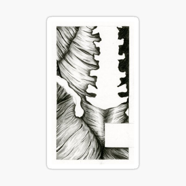 "Anatomical Spine" Sticker by IrenesGoodies | Redbubble