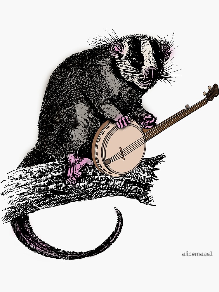 "Possum playing a banjo" Sticker for Sale by alicemaas1 | Redbubble