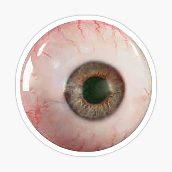 "Eye Eye" Sticker by roggcar | Redbubble