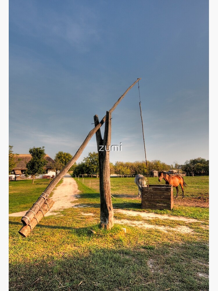 "Gémes kút (well)" Poster for Sale by zumi | Redbubble
