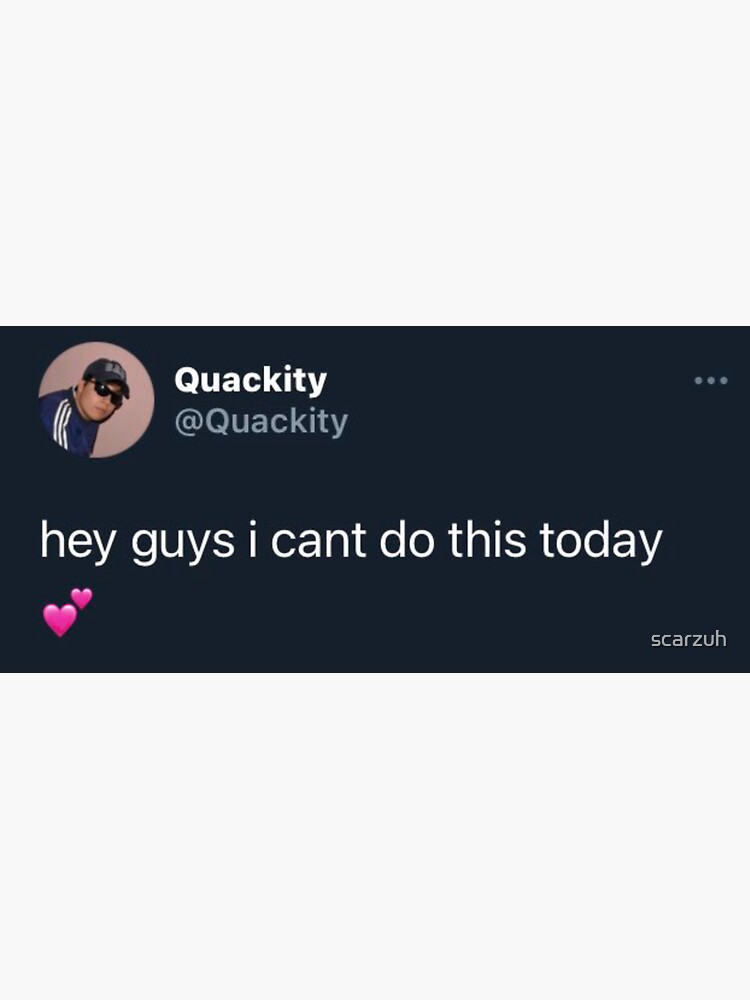 "quackity funny tweet" Sticker for Sale by scarzuh | Redbubble