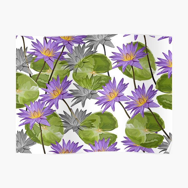 "Lotus purple color " Poster for Sale by WeeraS | Redbubble
